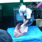 %e3%81%bb%e3%81%8f%e3%81%bb%e3%81%8f%e3%82%ab%e3%83%bc%e3%83%89%e4%bc ...